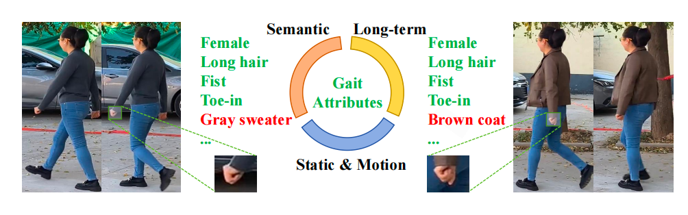 Qingyuan Cai | Beijing Normal University